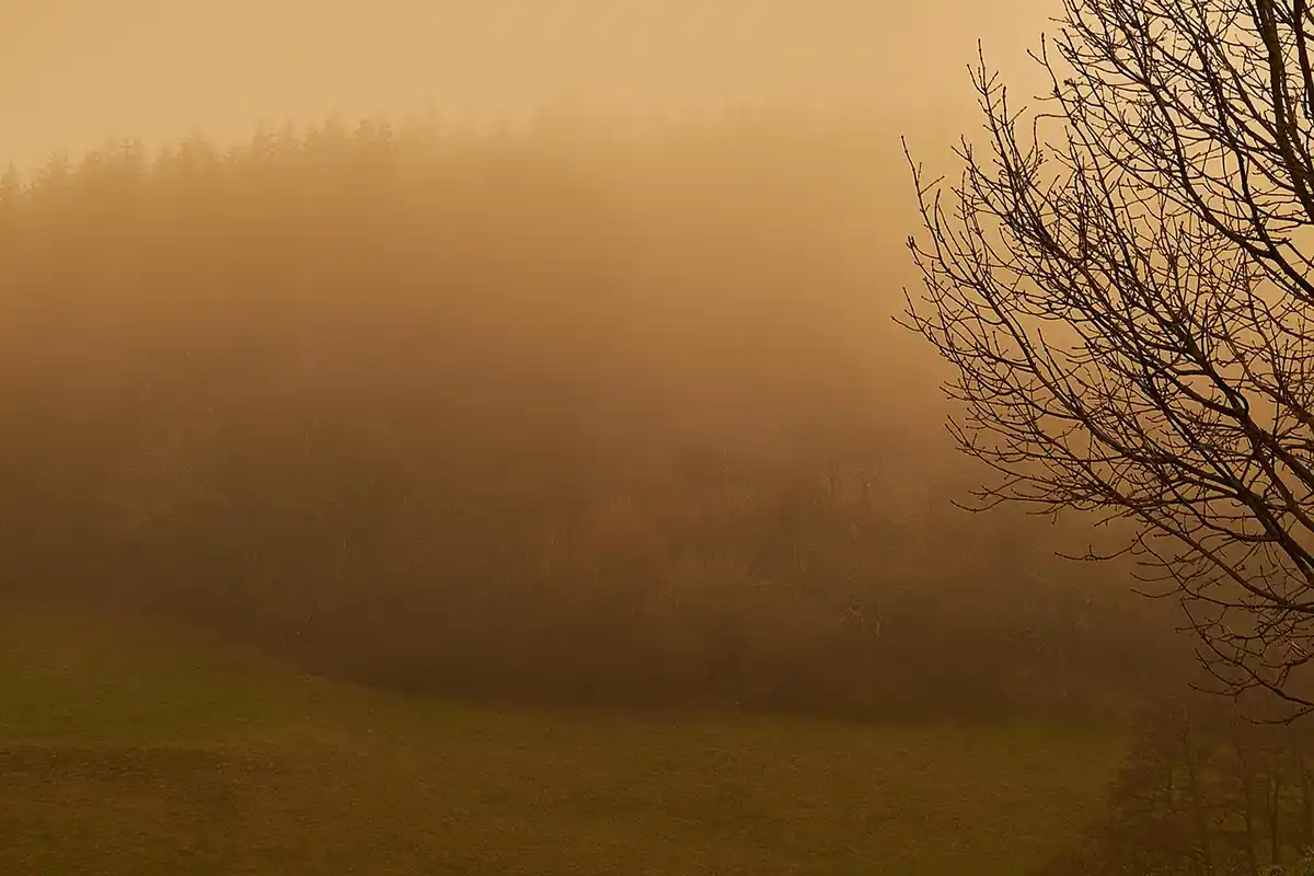 How Do Dust Storms in Phoenix, Arizona Affect Window Cleaning ...